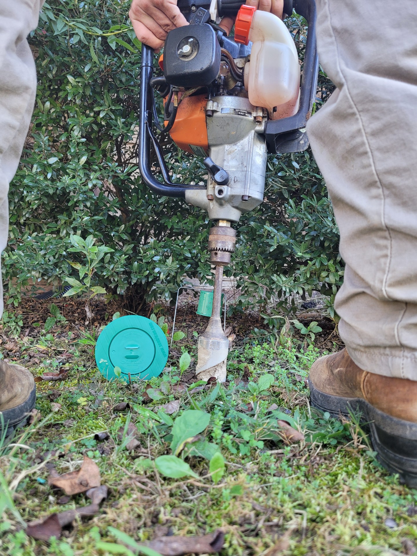 Termite Control | White's Pest Control | Serving Central Alabama